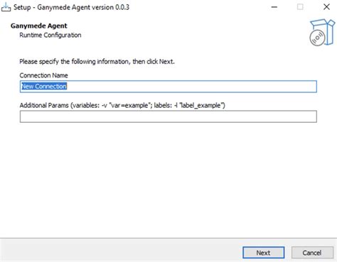 Installing Agent Connections Ganymede Documentation