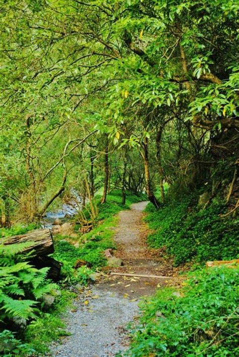 Jenolin Caves Nsw Australia Country Roads Travel Australia
