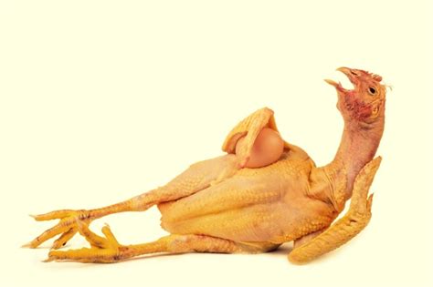 How To Make Love To A Chicken Yourtango