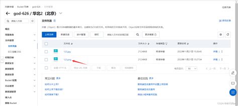 阿里云oss存储文件上传功能实现（保姆级教程）oss2bucket上传 Csdn博客