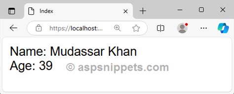 Aspnet Core Store Custom Class Object In Sessionnet