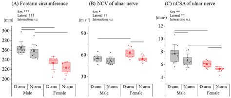 Sex Specific Differences In Peripheral Nerve Properties A Comparative Analysis Of Conduction