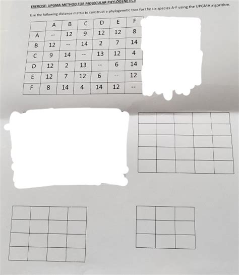 Solved Exercise Upgma Methodfor Moicular Phylogen Use The