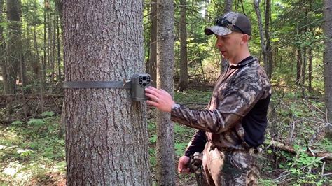 How To Bait Deer And Set Up Game Camera Youtube