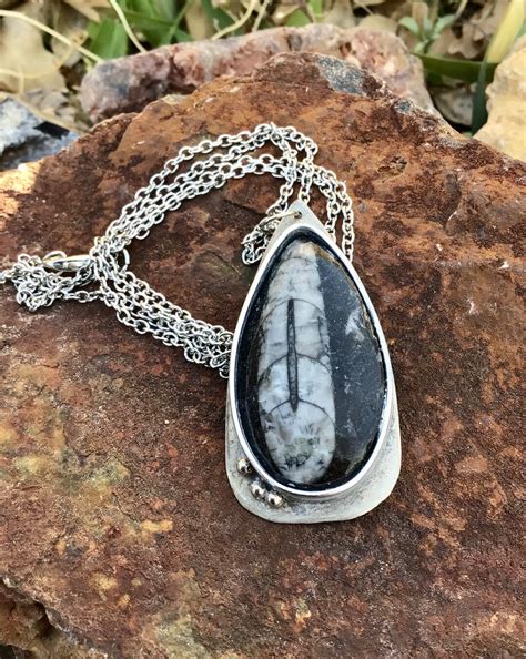 Orthocerus Fossil Pendant Necklace Etsy