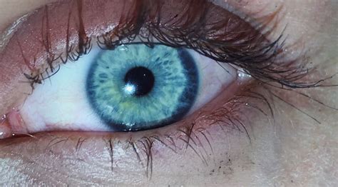 Pin By Bridget Benton On Eyes Beautiful Eyes Color Pretty Eyes Color