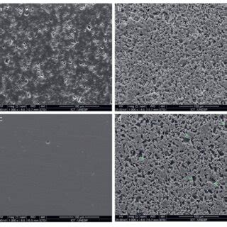 SEM Surface Images Of The Tested Materials PICN Before A And After Download Scientific