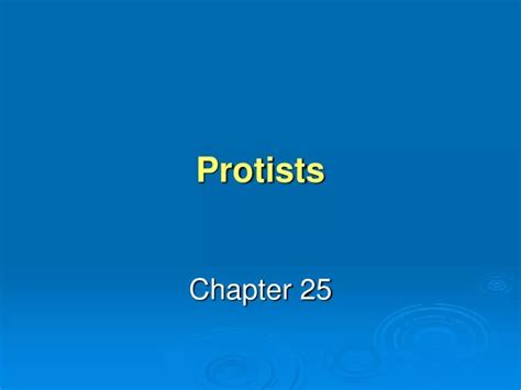 Ppt Protists Powerpoint Presentation Free Download Id 5763724