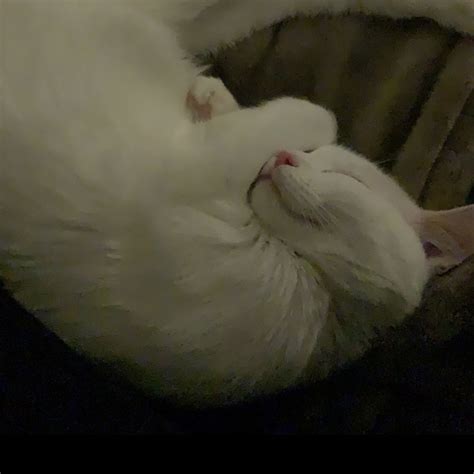 Jean Baptiste Chirossel Youtube