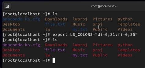 Colorful Linux A Guide To Customizing Directory And File Colors In Your Terminal By