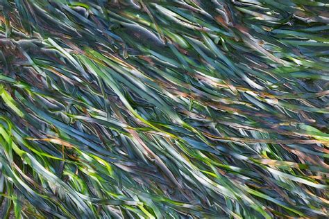 Pin By Danielle Dollinger On Natural Architecture Photo Texture Natural Architecture Nature