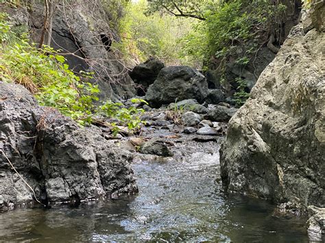 July 2023 Field Updates Bioassessment Season Highlights