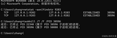 Windows解决端口被占用 Port Xxxx Was Already In Useport 9200 Was Already In