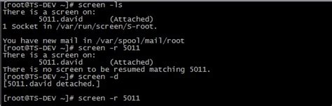 linux screen 命令详解 attaching from inside of screen csdn博客