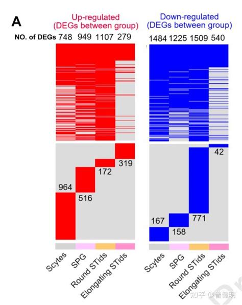 多个单细胞亚群各自差异分析后如何汇总可视化 知乎