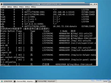 linux系统命令 蓝桥云课