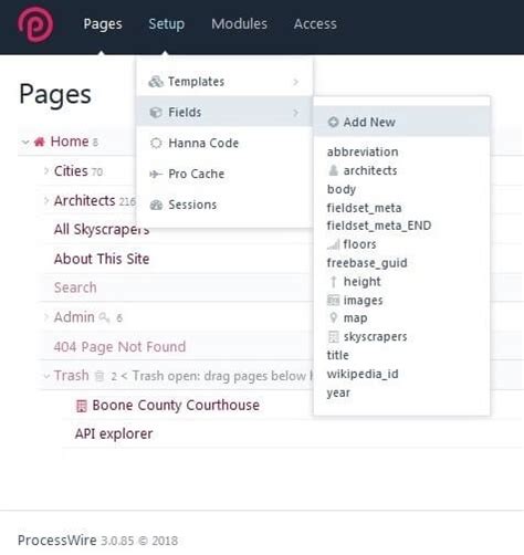 Processwire The Wordpress Alternative For Developers Ionos