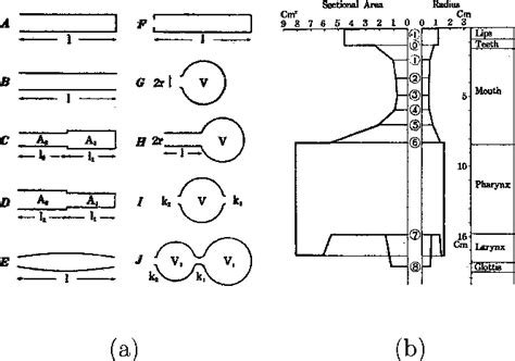 Figure 1 From Three Dimensional Acoustic Field In Vocal Tract