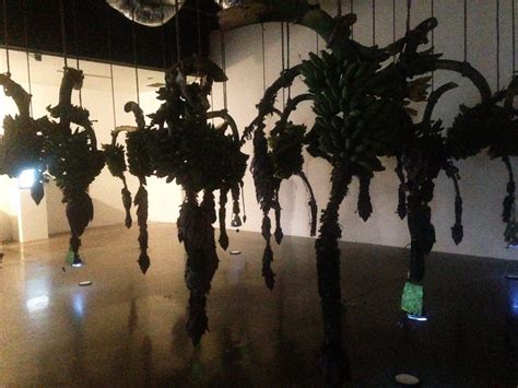 José Alejandro Restrepo Banana Craze