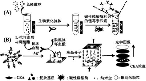 Liquid Crystal Based Detection Kit For Visually Detecting Tumor Marker