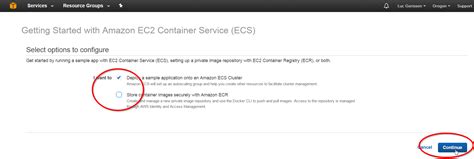 Docker Weblogic Image On Amazon Ec2 Container Service Conclusion Amis Technology Blog