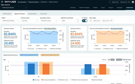 segment analysis whylabs documentation