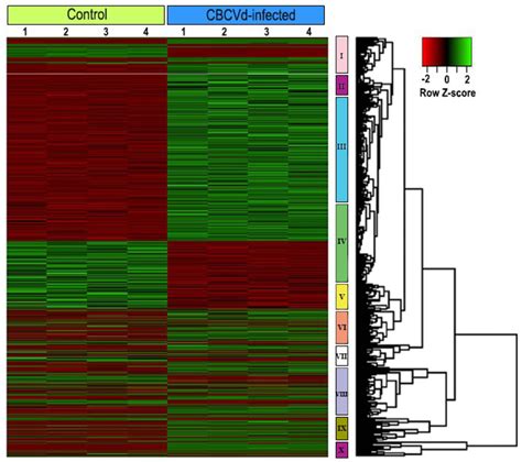 Heat Map And Complete Linkage Hierarchical Clustering Of Log2 Fold