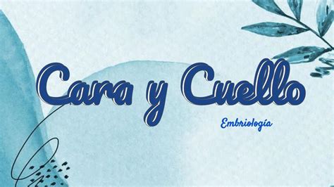 Cara Y Cuello PaoMedNotes UDocz
