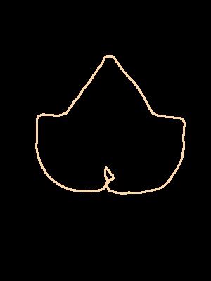 Opencv Automatic Approach For Removing Colord Object Shadow On White