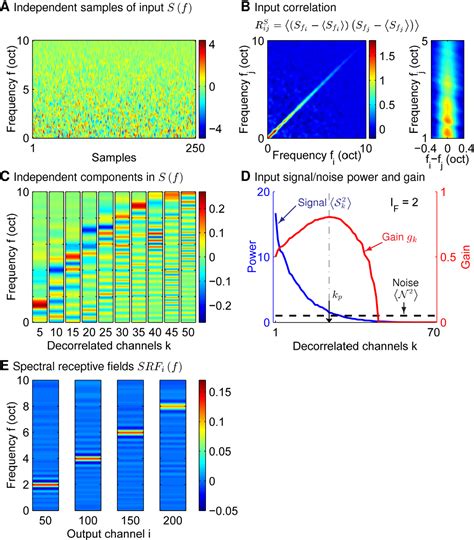 Figure 3 From Understanding Auditory Spectro Temporal Receptive Fields