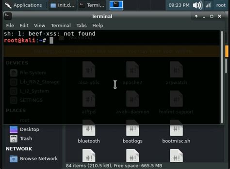 Kali Linux Shows These At Startup How To Stop Them Rkalilinux