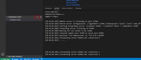 No Response For FORWARDED PORTS Issue Microsoft Vscode GitHub
