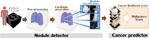 Lung Cancer Detection Using Cnn
