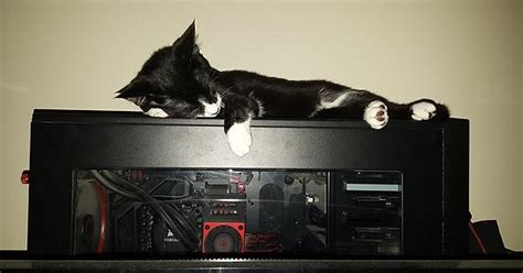 Found Out Why My Cpu Was Running Warmer Than Usual Imgur