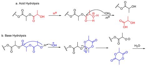 Polylactic Acid Degradation