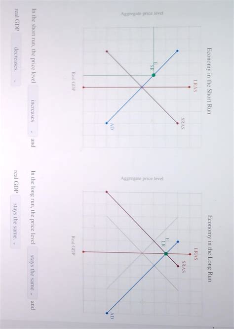 solved the accompanying graphs illustrate an initial