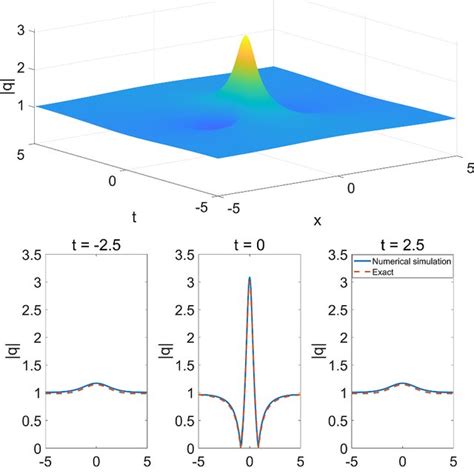 Top The Numerical Solution Gained By The Newton Cg Method Bottom