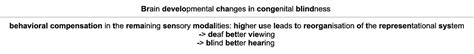 bold text messed up help anki forums