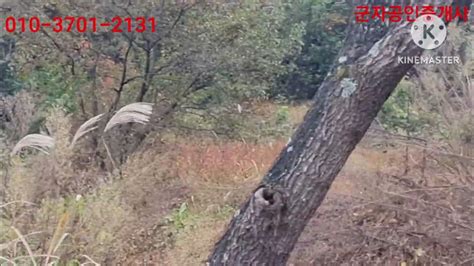 109 농막 설치된 2차선 도로변 토지 매매 Youtube