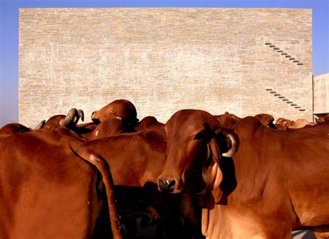 Gurjit Singh Matharoo Archipel