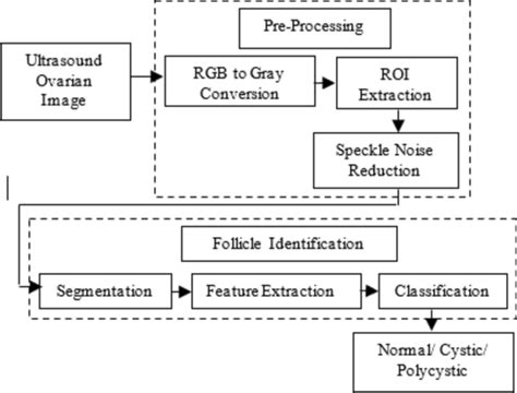 Block Diagram Of Automatic Detection Of Ovarian Follicles In Ultrasound Download Scientific