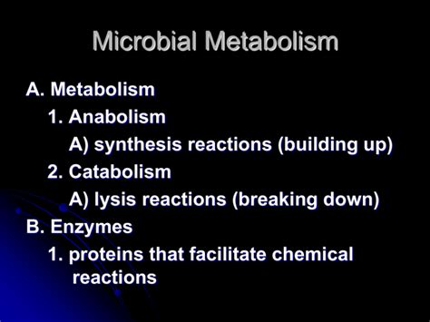 Microbial Metabolism Enzymes Respiration Photosynthesis