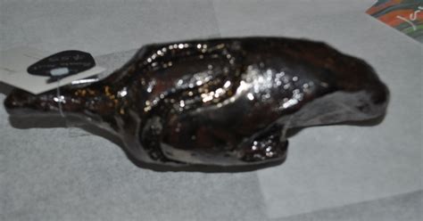 Shop Art By Bianca Long 4 Artworks For Sale On Bluethumb