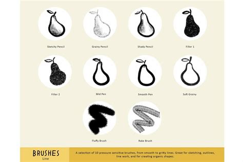 Procreate Texture Brush Pack MasterBundles