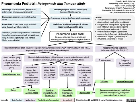 Pneumonia Pediatri Patogenesis Dan Temuan Klinis Calgary Guide