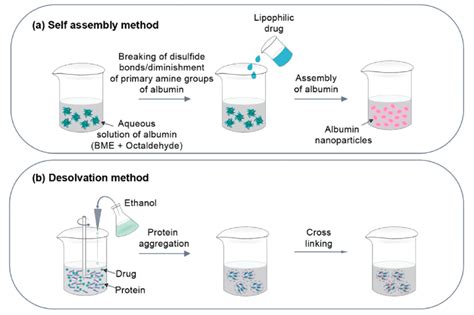 A In The Self Assembly Method Individual Protein Chains Are Download Scientific Diagram