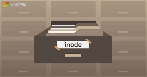 What Are Inodes And What To Do If They Are Over Hostpro Blog