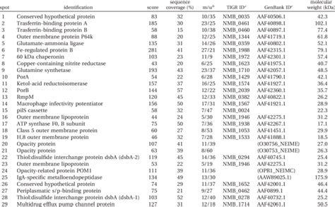Maldi Tof Identification Of The Main Spots Detected Using Download Scientific Diagram