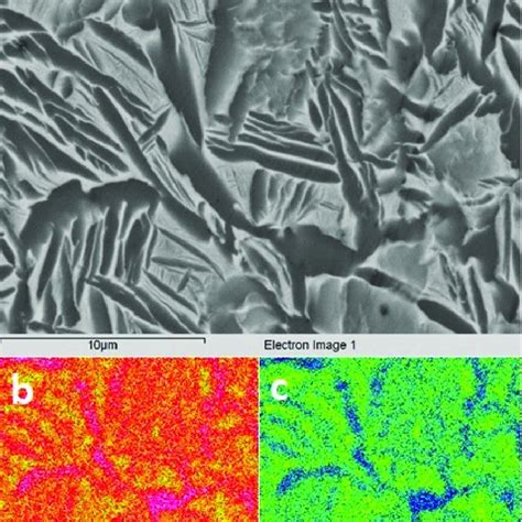 Phase Diagram Of The Titanium Tantalum System 1 Download Scientific