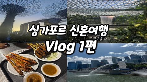 싱가포르 3박4일 신혼여행 브이로그스위소텔무스타파 쇼핑마리나더베이 크루즈사테거리차이나타운 맛집송파 바쿠테 갈비탕쥬얼창이 폭포술탄 모스크 Youtube